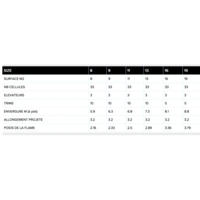 Level Wings Flame – Speedflying School